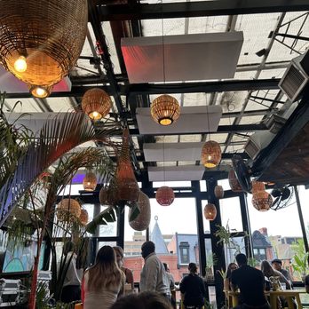 EL TECHO - Updated August 2025 - 755 Photos & 470 Reviews - 606 Florida ...