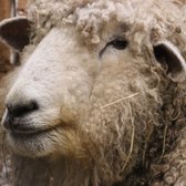 RUSTIC ROAD FARM - Updated December 2025 - 70 Photos & 22 Reviews ...