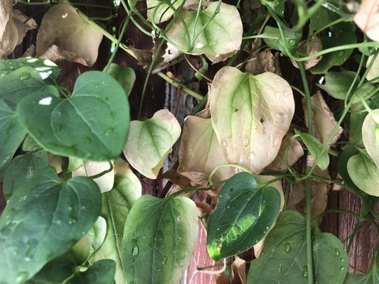 PECO - Updated February 2026 - 27 Photos & 112 Reviews - 2301 Market St ...