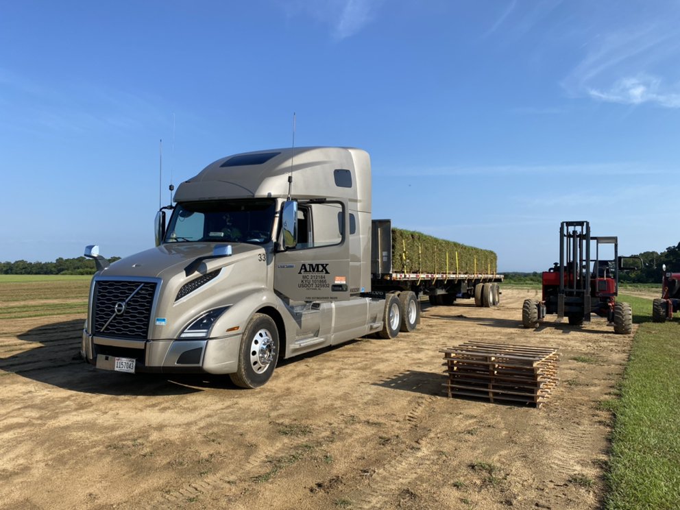 BYRD SOD FARM - Updated May 2026 - Midland City, Alabama - Artificial ...