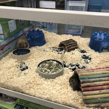 PRATT’S PETS - GLENDALE - Updated April 2025 - 142 Photos & 87 Reviews - 5237 W Glendale Ave ...