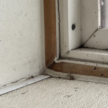 LOU’S DELI - Updated January 2026 - 85 Photos & 118 Reviews - 8224 W ...