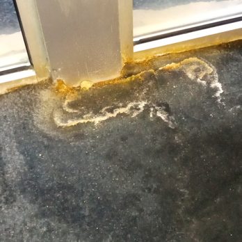 SPRINGFIELD REHABILITATION & HEALTHCARE CENTER - Updated December 2025 ...