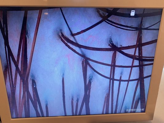 OCEAN RELAX CENTER - Updated September 2025 - 49 Photos & 51 Reviews ...