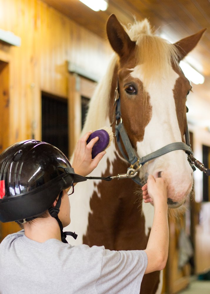 HIDDEN ACRES THERAPEUTIC RIDING CENTER - Updated January 2026 - 26 ...