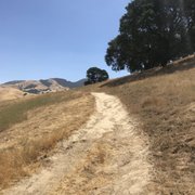 DIABLO FOOTHILLS REGIONAL PARK - 237 Photos & 44 Reviews - 1700 Castle ...