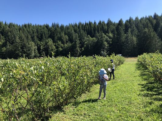 HAPPY FAMILY FARM - Updated September 2025 - 98688 Thornberry Ln ...