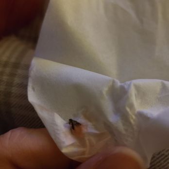 PCC COMMUNITY MARKETS - EDMONDS - Updated October 2025 - 115 Photos ...