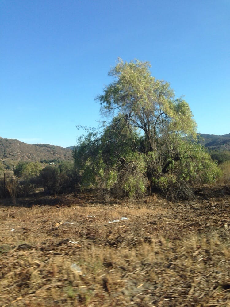 PALA BAND OF MISSION INDIANS RESERVATION - 12196 Pala Mission Rd, Pala ...