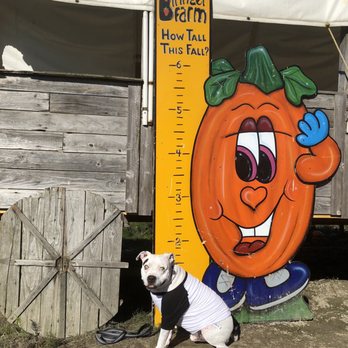 BIRINGER FARM - Updated July 2024 - 85 Photos & 37 Reviews - 21412 59th ...