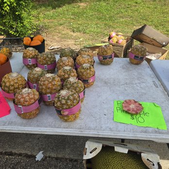 THE WATERMELON LADY - Updated September 2025 - 18 Photos - 4564 US Hwy ...