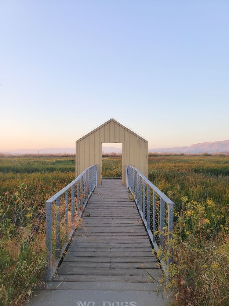 ALVISO MARINA COUNTY PARK - Updated May 2024 - 1490 Photos & 207 ...
