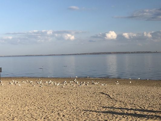 PARC NATIONAL D’OKA - Updated July 2024 - 30 photos & 15 avis - 2020 ...