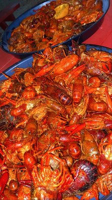 SWAMP DONKEYS CRAWFISH AND SEAFOOD - 24 Photos & 34 Reviews - Cajun ...