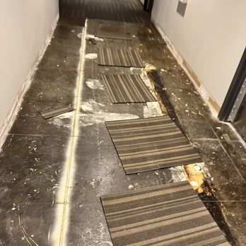 WALNUT TOWER APARTMENTS - Updated December 2025 - 32 Photos & 17 ...