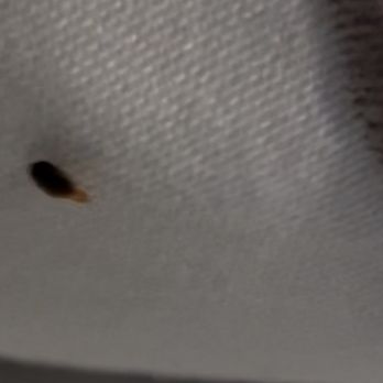 DOUBLETREE BY HILTON HOTEL WILLIAMSBURG - Updated December 2025 - 349 ...