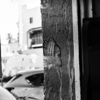 CALIFORNIA SEASHELL COMPANY - Updated January 2026 - 104 Photos & 100 ...