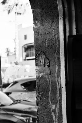 CALIFORNIA SEASHELL COMPANY - Updated July 2025 - 98 Photos & 97 ...