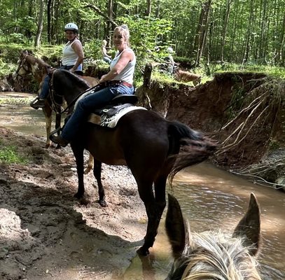 SOUTHERN CROSS RANCH - Updated August 2025 - 79 Photos & 36 Reviews ...