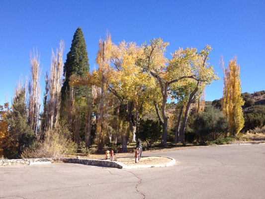 ST ANDREW’S ABBEY - 120 Photos & 24 Reviews - 31001 N Valyermo Rd ...