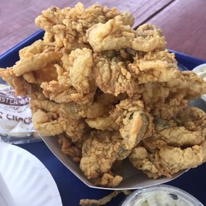 CLAM BOX OF IPSWICH - 351 Photos & 594 Reviews - 246 High St, Ipswich ...