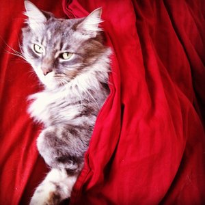 VERG BROOKLYN - Updated March 2025 - 124 Photos & 643 Reviews - 196 4th ...