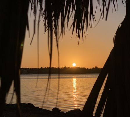 WABASSO CAUSEWAY PARK - Updated December 2025 - 26 Photos - 1820 County ...