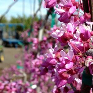 WILCO FARM STORE - PASCO - Updated August 2025 - 6705 Chapel Hill Blvd ...