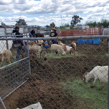 RANCHO LOS FONSECA - Updated January 2026 - 154 Photos & 50 Reviews ...