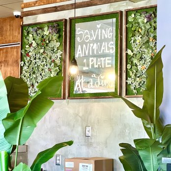 LOTUS VEGAN - Updated August 2024 - 721 Photos & 1336 Reviews - 4715 ...