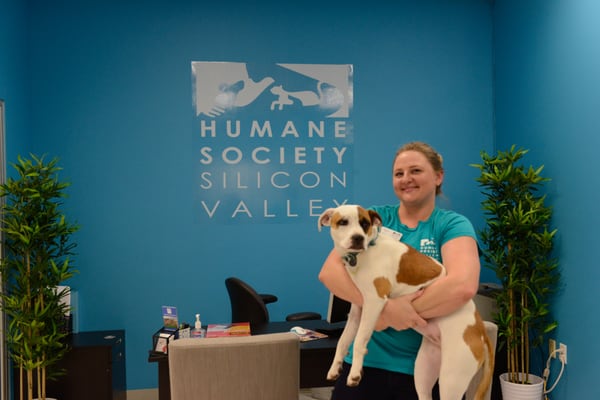 HUMANE SOCIETY SILICON VALLEY - SAN JOSE - Updated October 2025 - 16 ...