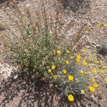 MOUNTAIN’S EDGE REGIONAL PARK - Updated April 2025 - 412 Photos & 93 ...