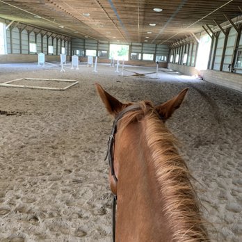 VICTORY STABLES - Updated October 2025 - 78 Photos & 12 Reviews - 121 ...