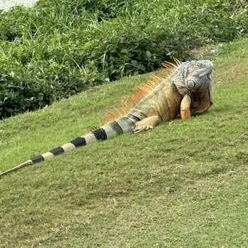ATLANTIC NATIONAL GOLF CLUB - Updated January 2026 - 26 Photos & 52 ...
