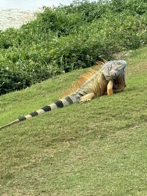 ATLANTIC NATIONAL GOLF CLUB - Updated January 2026 - 26 Photos & 52 ...