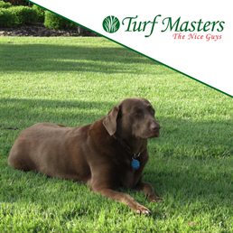 Turf Masters Lawn Care Reviews | Read Customer Service Reviews of ...