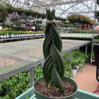 NICKS GARDEN CENTER - Updated June 2025 - 481 Photos & 256 Reviews ...