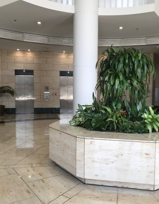 RYAN CANDELORA, DDS & CHARLES KIM, DDS - GLENDALE DENTIST - Updated ...