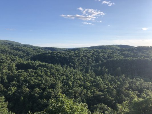 Green Ridge State Forest - 105 Photos & 15 Reviews - Parks - 28700 ...