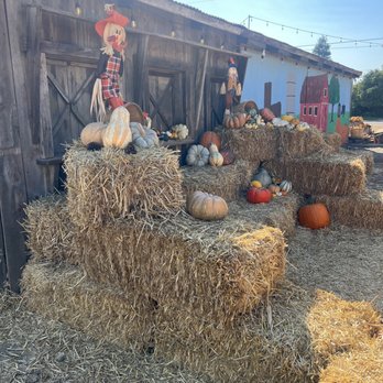 R A M FARMS PUMPKIN PATCH AND CORN MAZE - Updated December 2025 - 81 ...