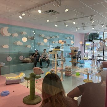 KITTY BUBBLE CAFE & BAR - Updated October 2025 - 195 Photos & 65 ...