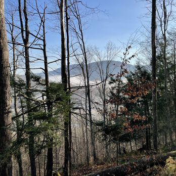 RIVERVIEW ESTATE BY BROPHY - Updated January 2026 - 125 Photos - 1650 ...