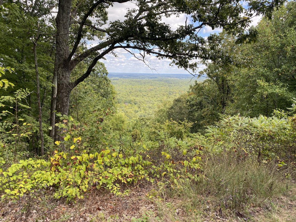 CLARK STATE FOREST - Updated December 2025 - 21 Photos - Henryville ...