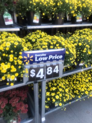 WALMART SUPERCENTER - 146 Photos & 99 Reviews - 420 Buckland Hills Dr ...