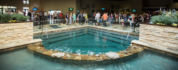 BENT TREE BIBLE | CARROLLTON - Updated December 2025 - 18 Photos & 22 ...