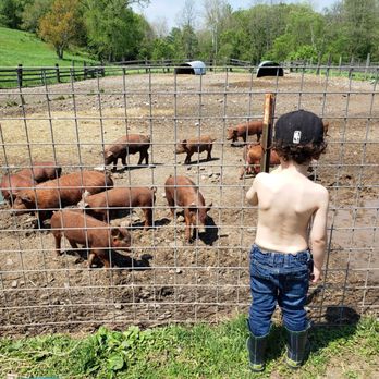 KINDERHOOK FARM - Updated September 2025 - 49 Photos & 10 Reviews ...