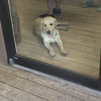 FRONT ROYAL OUTDOORS - Updated June 2024 - 71 Photos & 66 Reviews ...