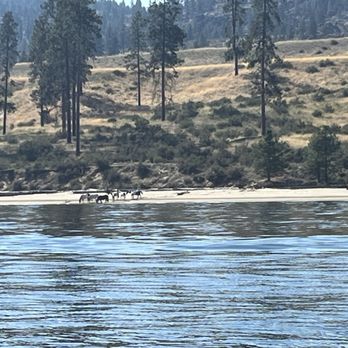 TWO RIVERS RESORT - Updated September 2025 - 22 Photos - 6826 B Hwy 25 ...