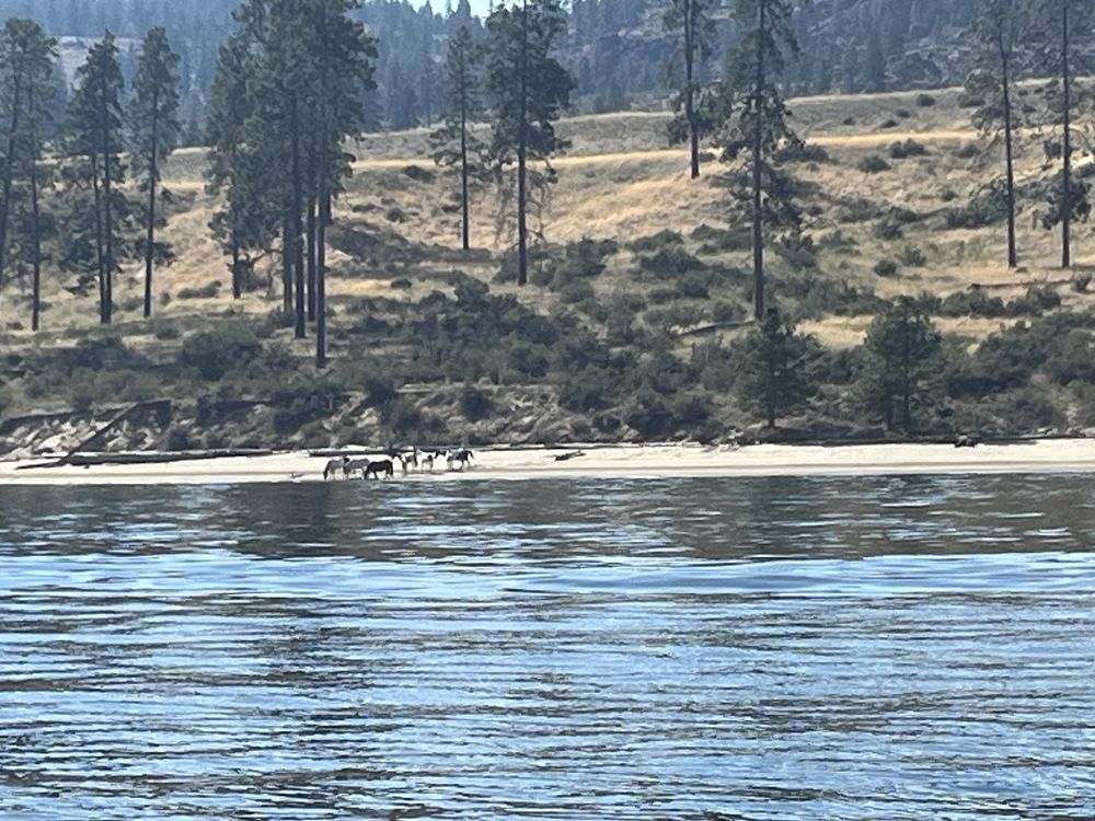 TWO RIVERS RESORT - 20 Photos - 6826 B Hwy 25 S, Davenport, Washington ...