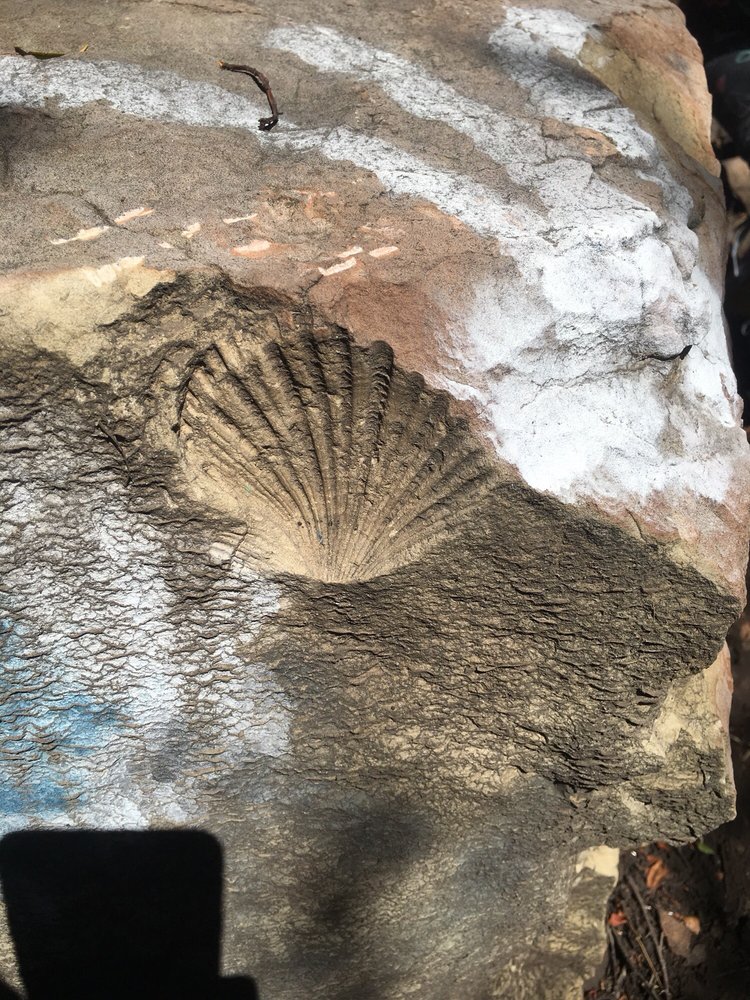 FOSSIL RIDGE TRAIL - Updated November 2025 - 13 Photos - 23300 Saddle ...